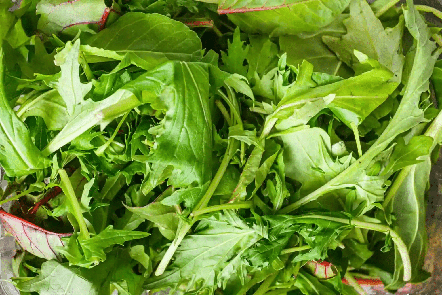 28 Amazing Fall Garden Vegetables For An Amazing Harvest - Drop By My Home